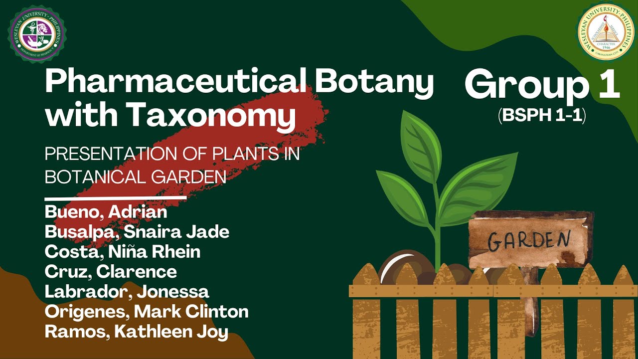 Pharmaceutical Botany with Taxonomy (BSPH 1-1) - Compilation of Vlogs ...