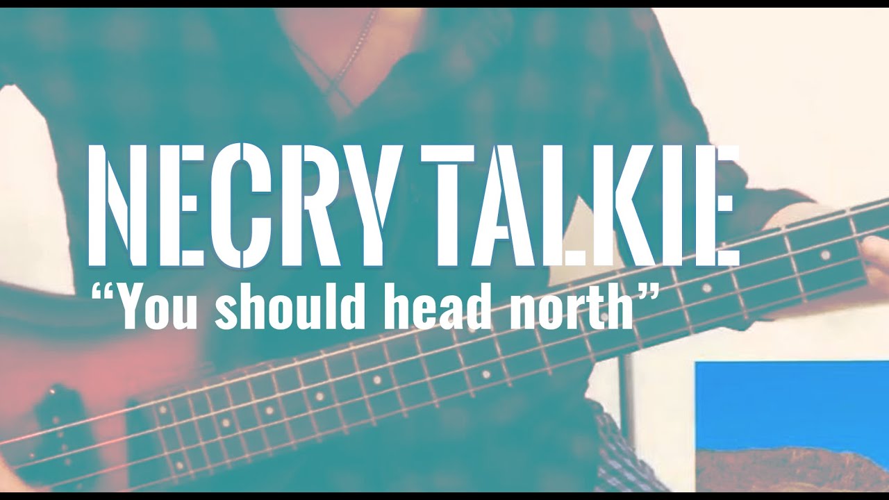 You Should Head North - NECRY TALKIE / Bass Cover - YouTube
