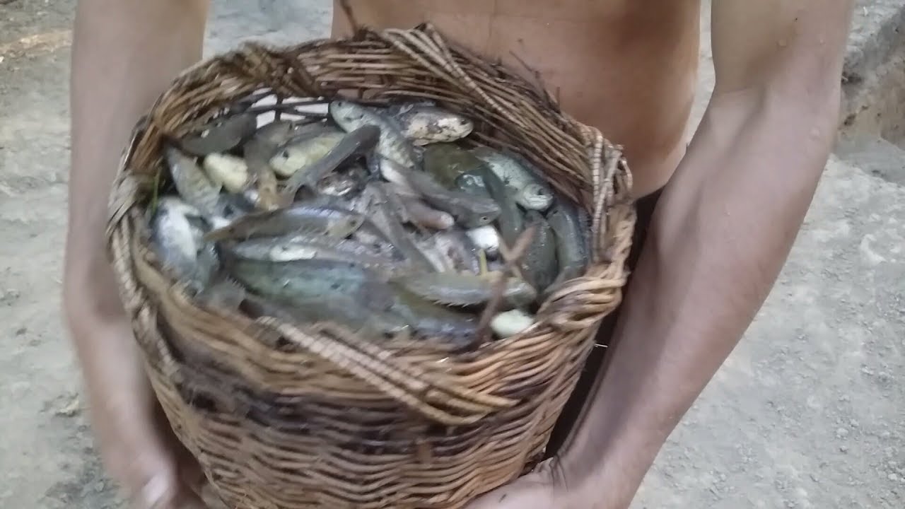Primitive Times: Catch Fish By Hand - YouTube