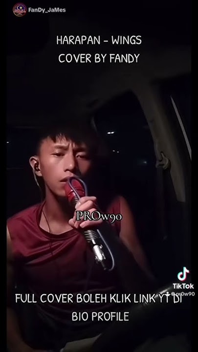 HARAPAN - WINGS COVER BY FANDY JAMES #cover #dominostyle #coversong #live #karaoke - YouTube