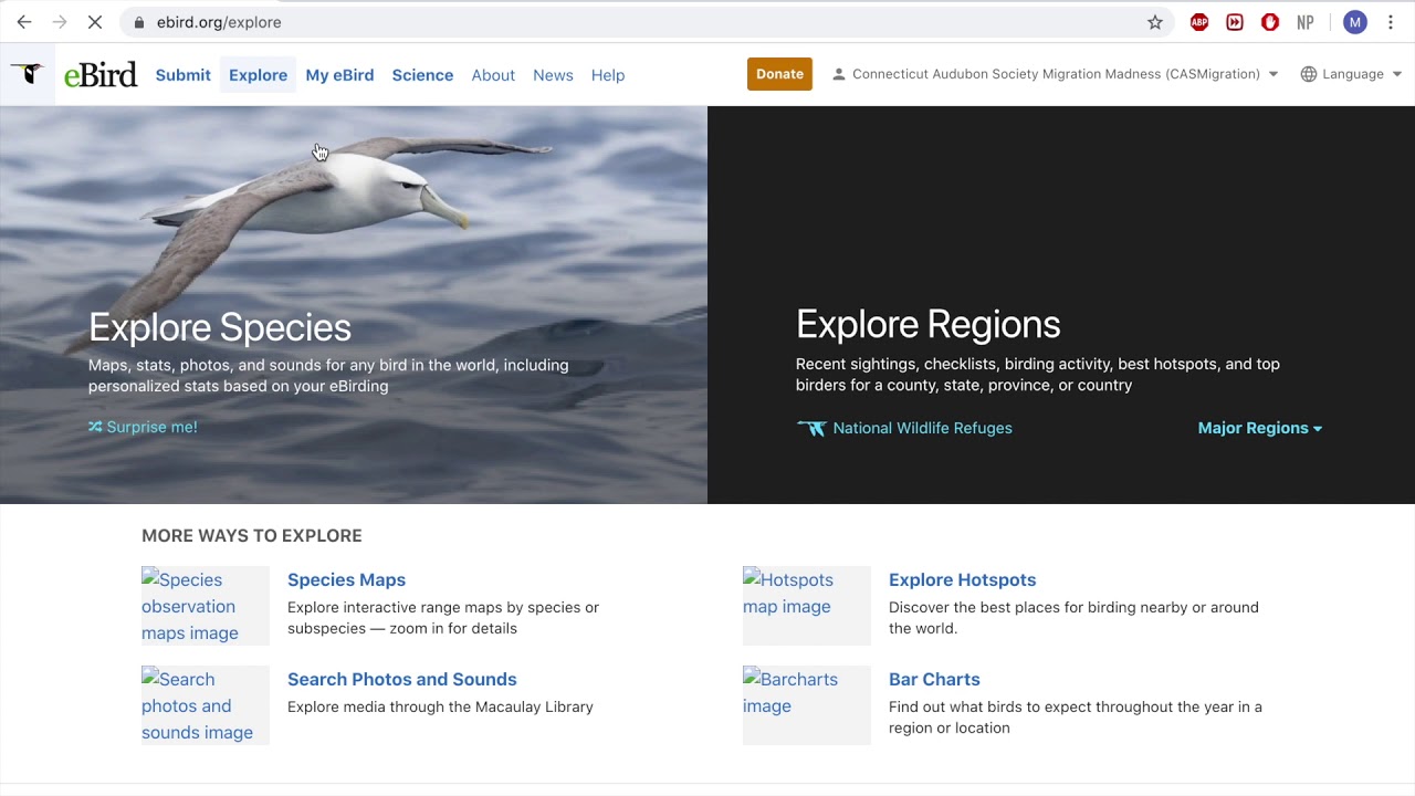 eBird Episode 1 - Intro and Species Quizzes - YouTube