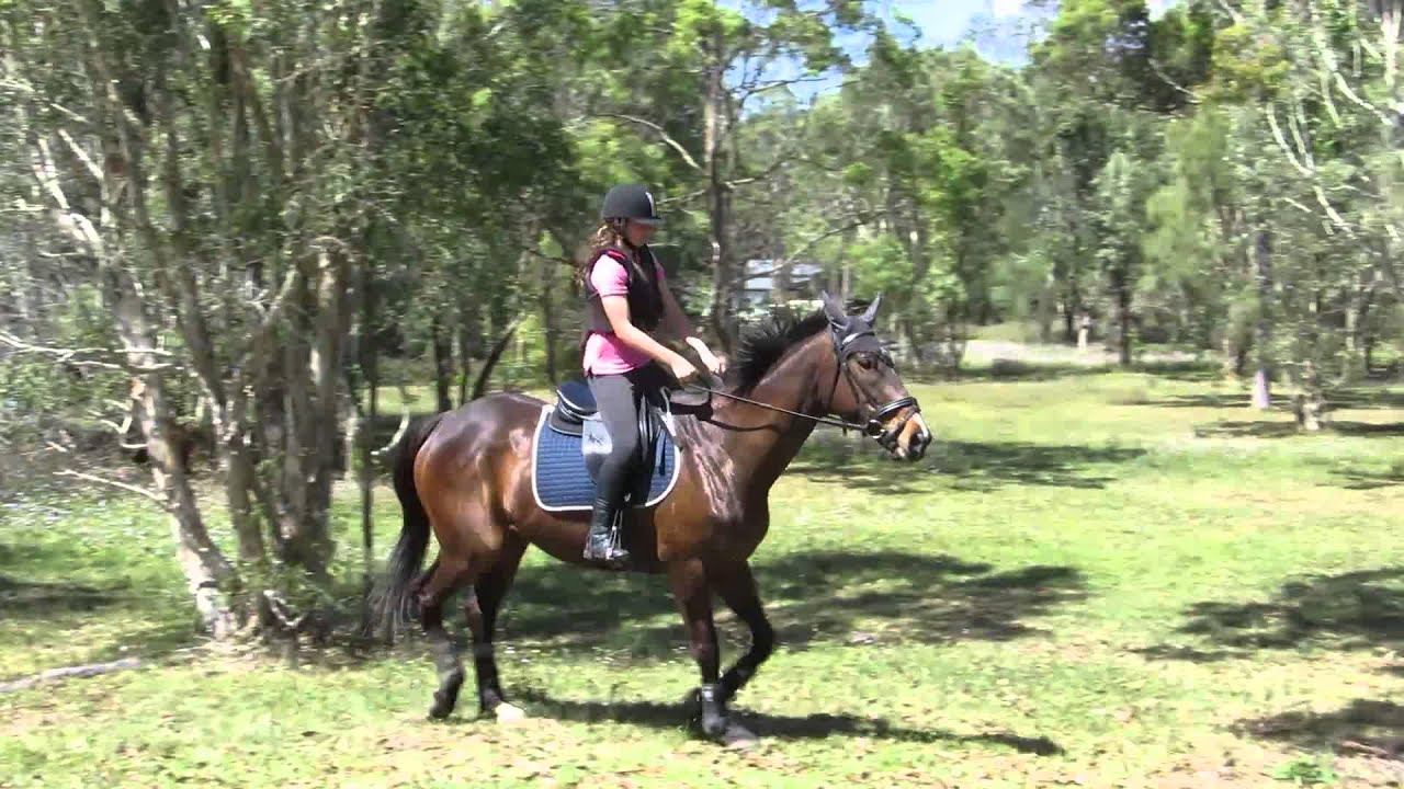 Cross Country - Bank jump - YouTube