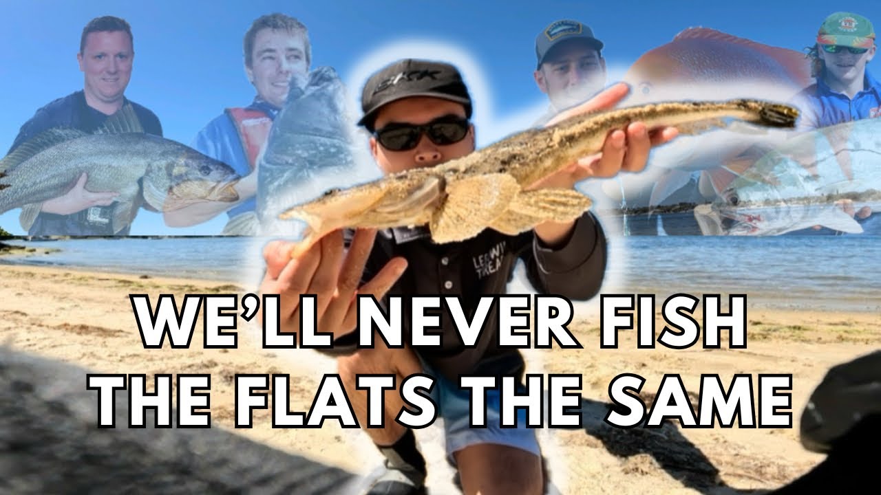 TOP FLATTY LURES from TOP ANGLERS - YouTube
