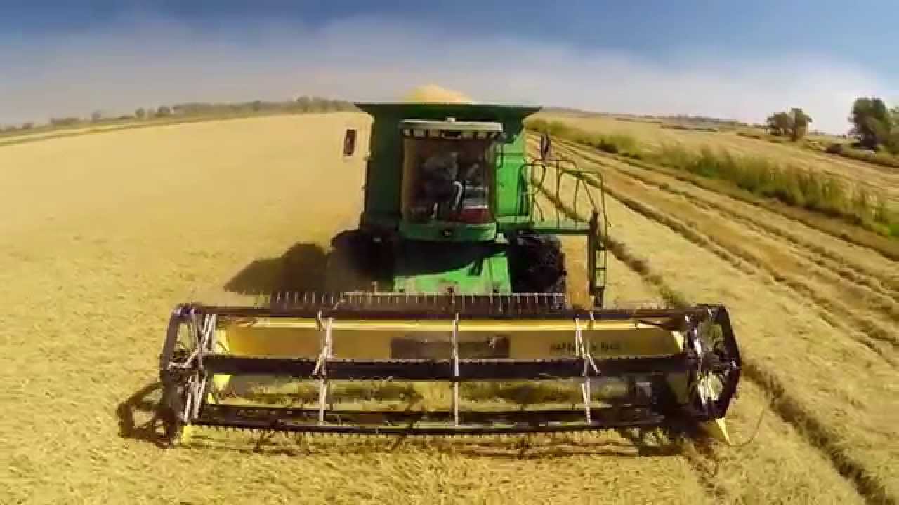 California Rice Harvest - YouTube