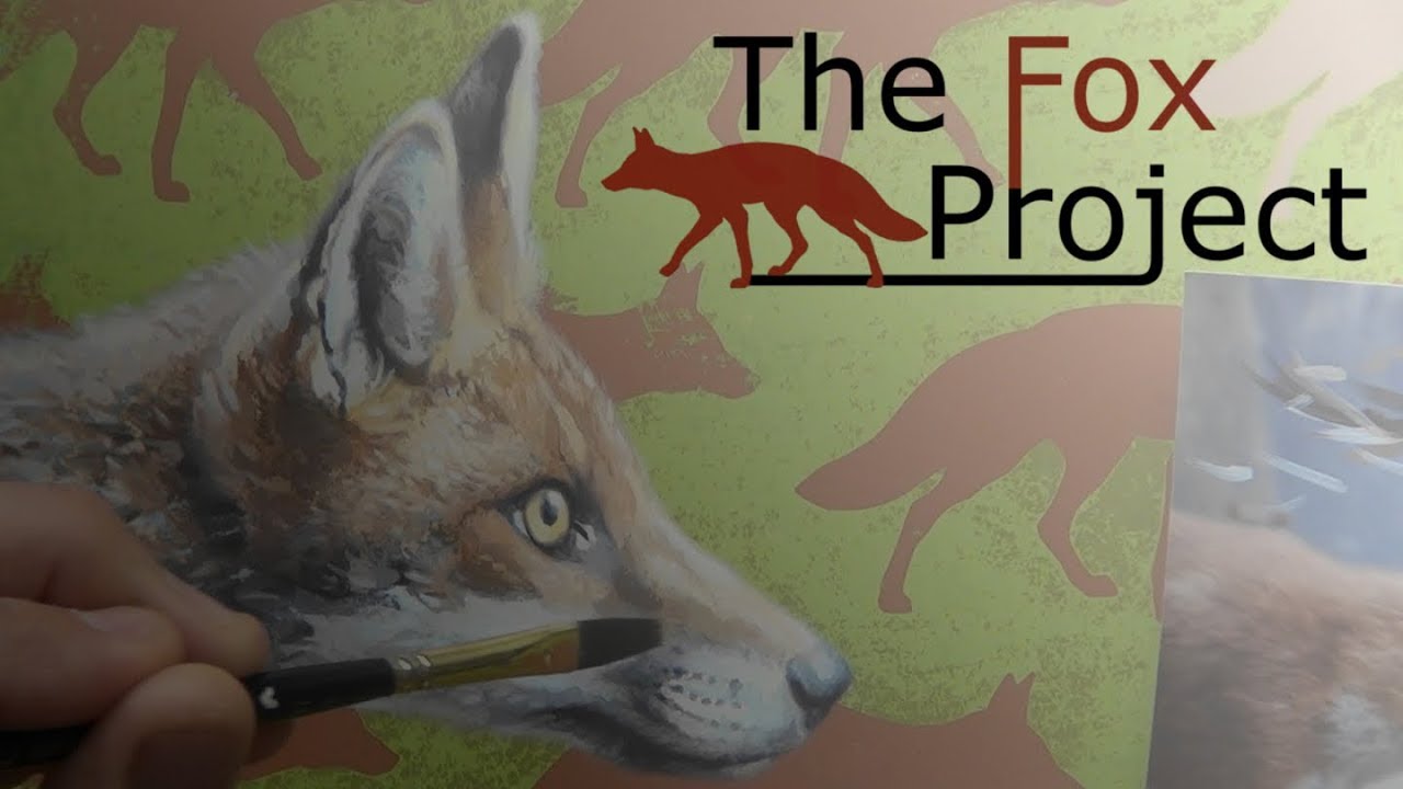 The Fox Project - YouTube