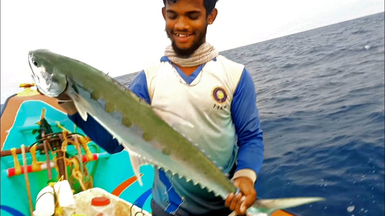 Catching small fish🐠, catching big fish🐬🎣#god #fishing - YouTube