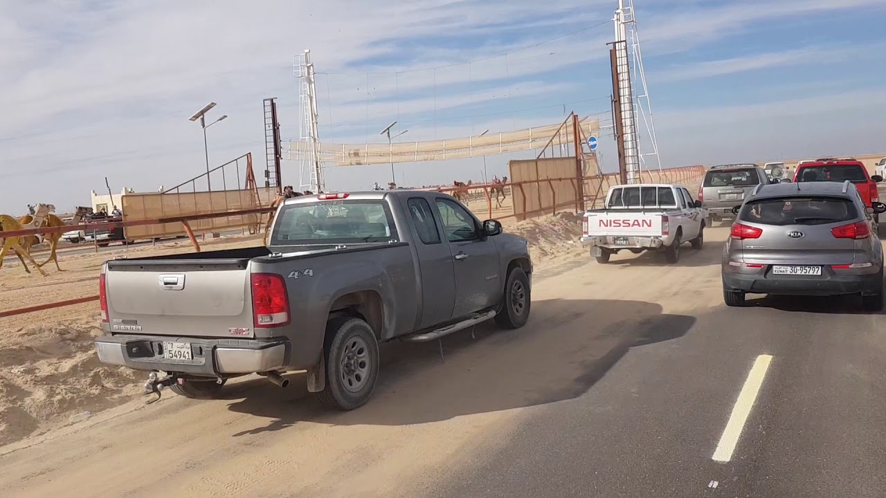 Camel Race in Kabad, Kuwait - YouTube