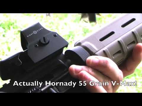 Hog Hunting with an AR, boar hog shot between the eyes with Hornady 55 ...