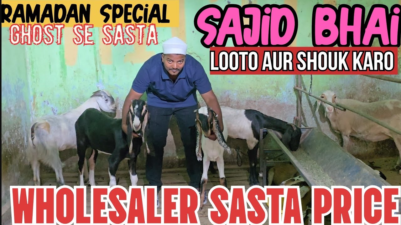 Wholesaler Dhamaka Sasta Offer Sirf Chanas Looto Aur Shouk Karo || Sajid Bhai Bhiwandi Mumbai ...
