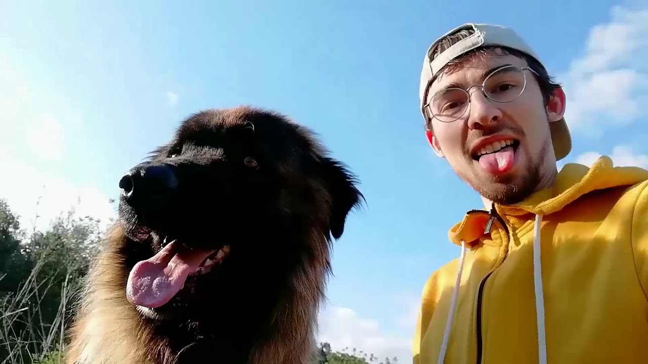 Volunteer life at ARA - Animal Rescue Algarve, Portugal - YouTube