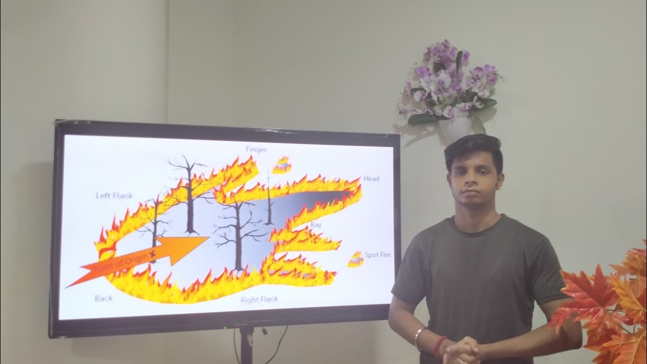 Introduction to Wildland Fuels & Parts of Wildfire by Mr.Kapil Bhandari ...