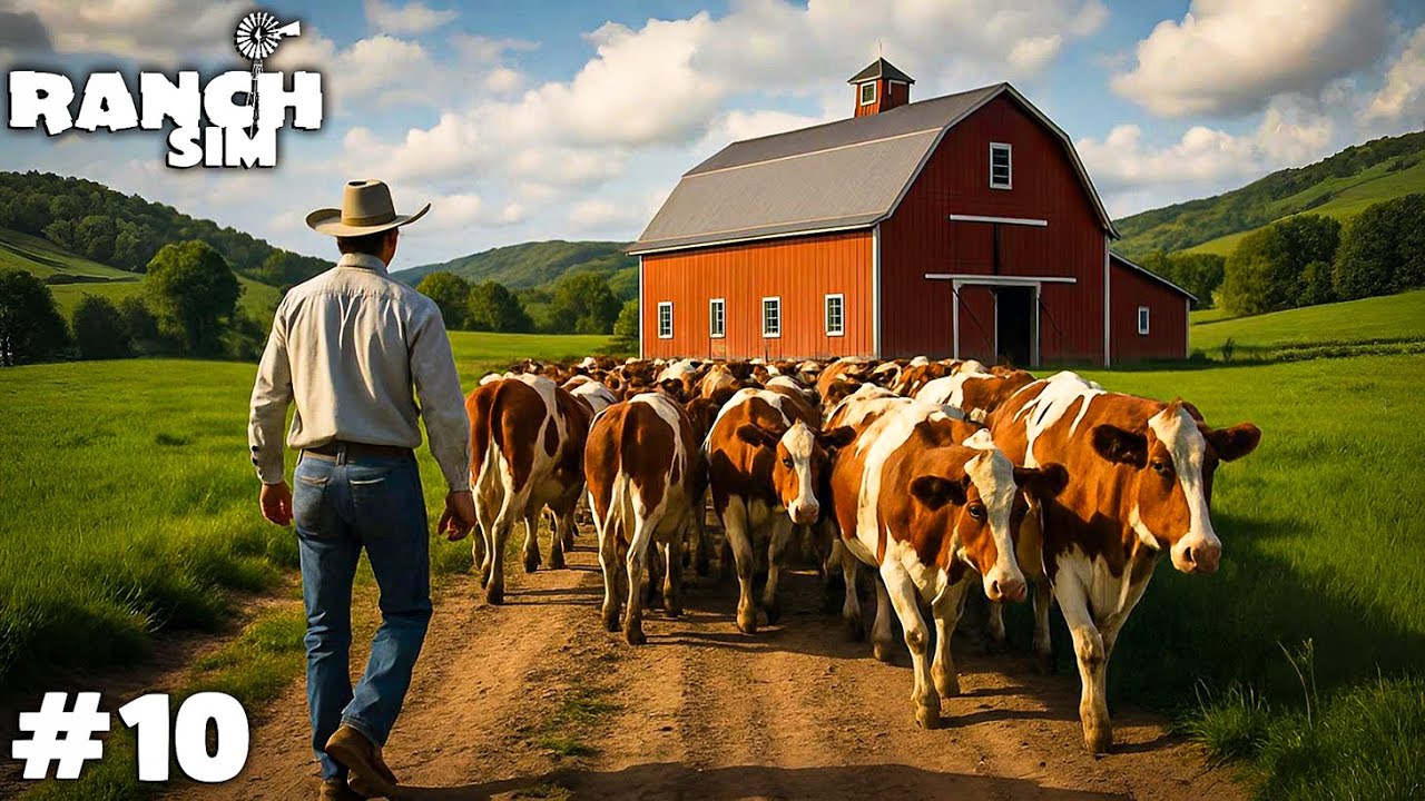 FINALLY I BOUGHT COWS FOR MY RANCH! 🤑- RANCH SIMULATOR #10 - YouTube