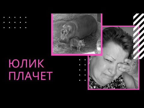 ЮЛИК ПЛАЧЕТ ИЗ ЗА БЕГЕМОТИКА