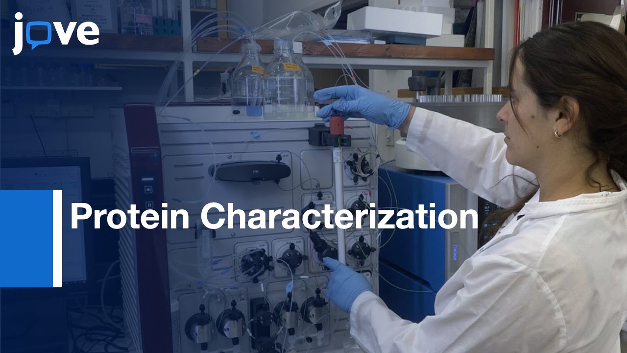 SEC-MALS for Protein Characterization | Protocol Preview - YouTube