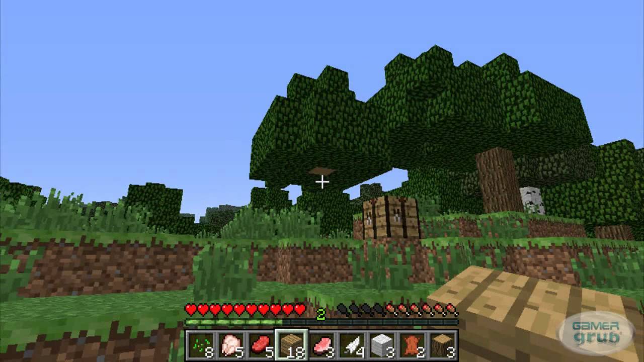 Minecraft Gamer Grub Adventure Series 001 - YouTube