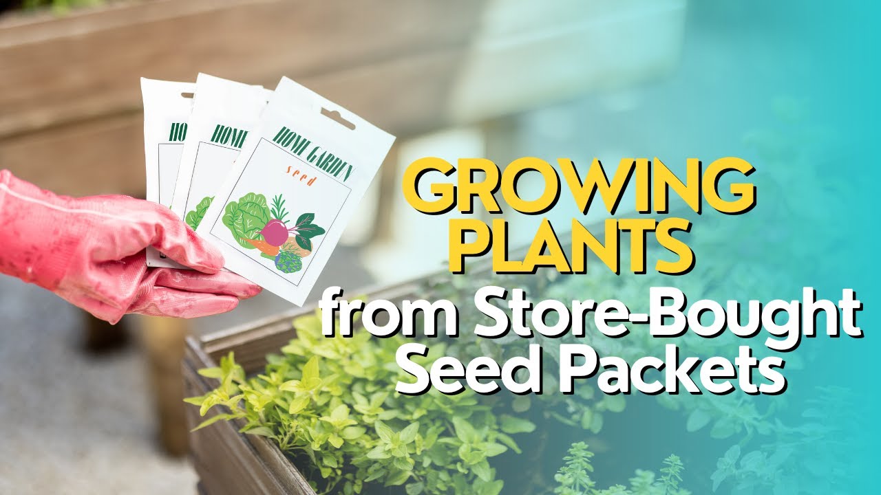 Growing Plants from Store-Bought Seed Packets - YouTube