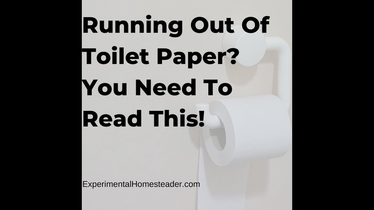 Toilet Paper Alternatives For Emergency Situations YouTube toilet-paper-alternatives-for-emergency-situations-youtube