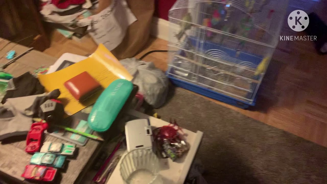 Le new birb! (No thumbnail) - YouTube