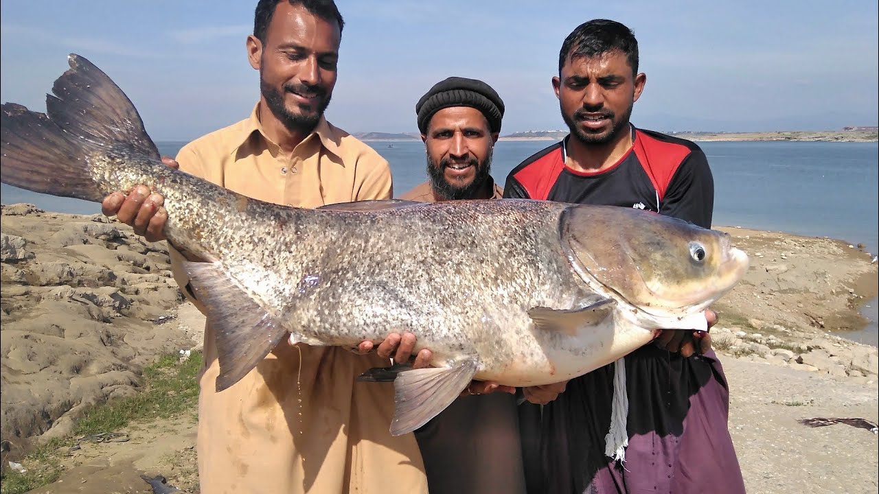 30kg bighad fishing Mangla Dam Fishing Muhammad Saad - YouTube