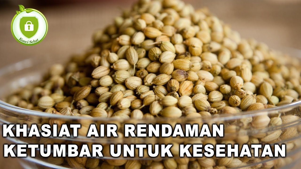 Inilah Manfaat Air Rendaman Ketumbar untuk Kesehatan - YouTube