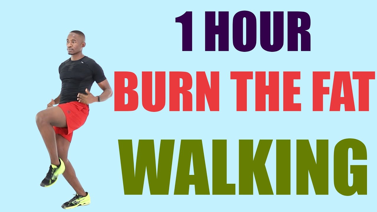 1 Hour BURN THE FAT Walking Workout at Home/ Walking Exercise for ...