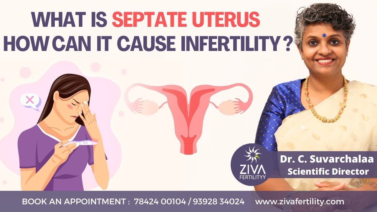 Septate Uterus And Fertility || Uterine Defects || Female Fertility ...