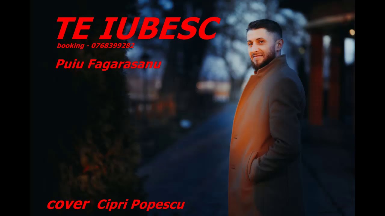 Puiu Fagarasanu - Te iubesc - cover - YouTube