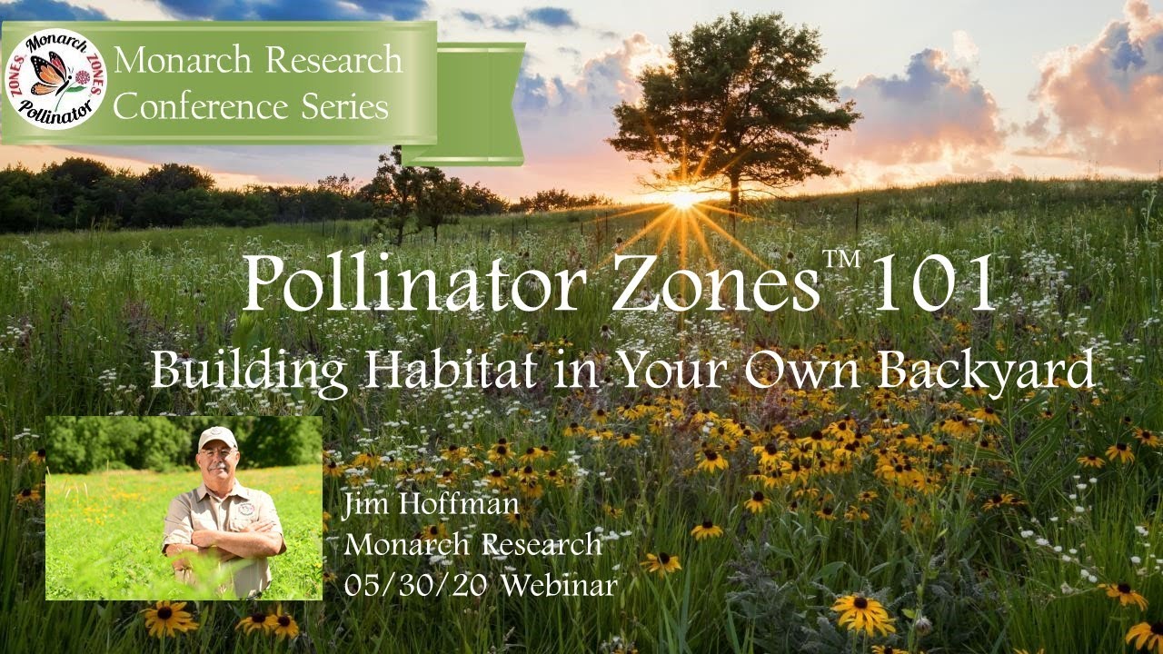 MONARCH RESEARCH - POLLINATOR ZONES 101 WEBINAR - YouTube