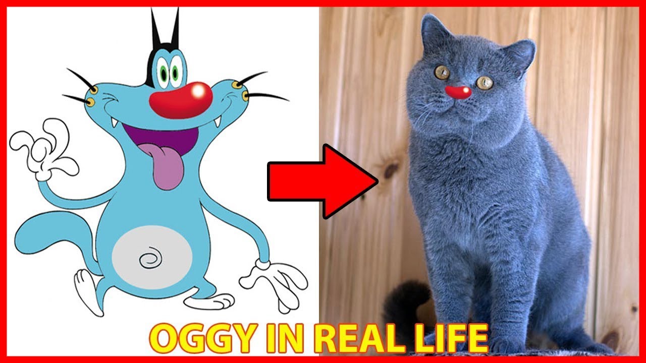 Oggy And The Cockroaches Cartoon Characters 🔥 In Real Life 2020 ...