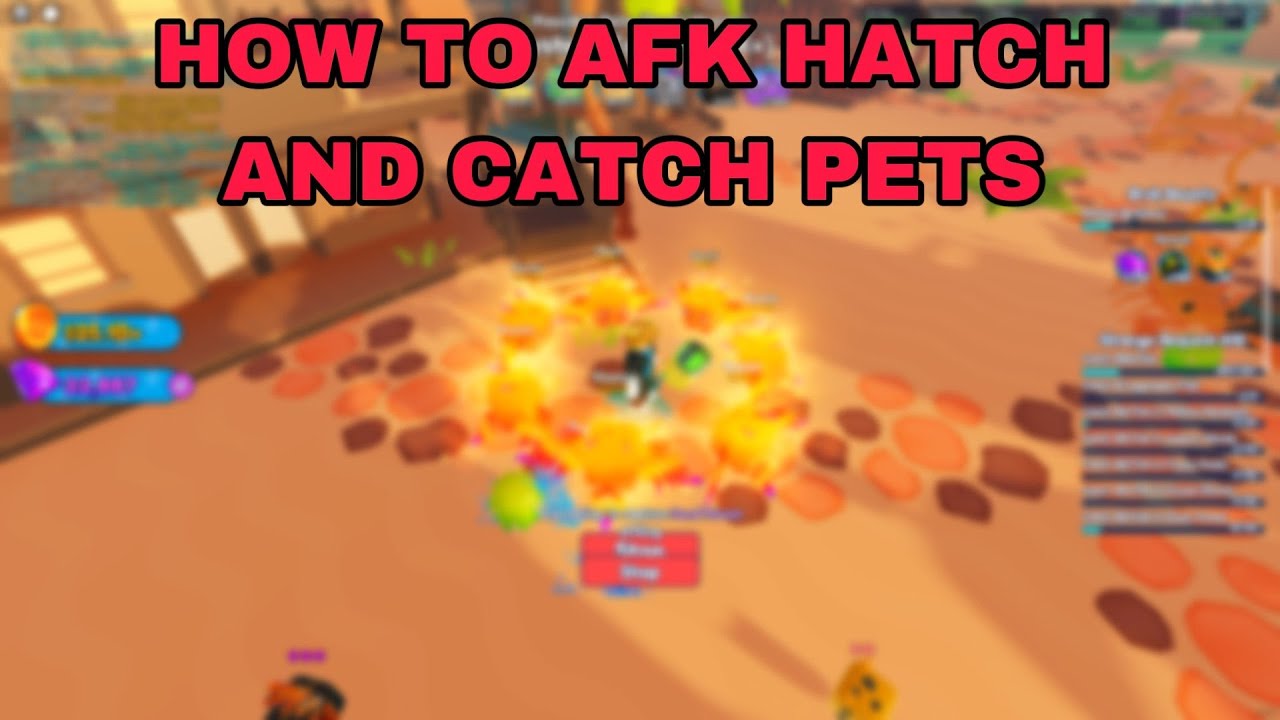 How To AFK Hatch and Catch Pets in Pet Catcher - YouTube