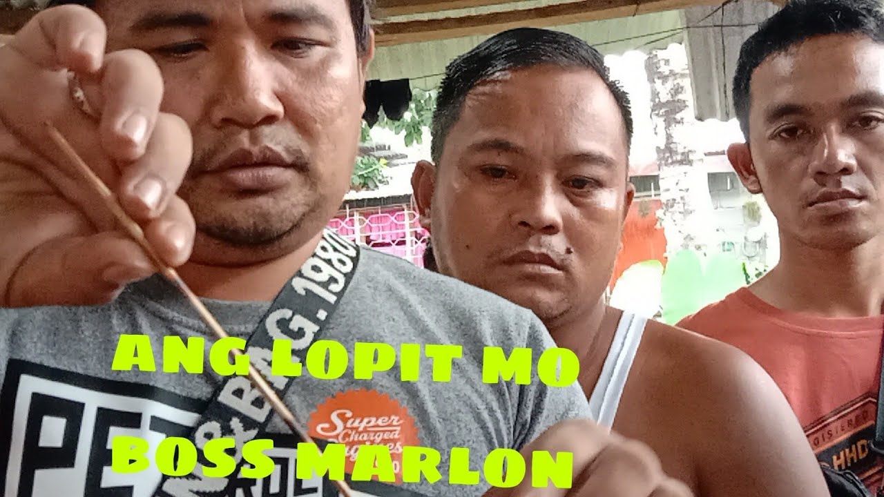laban to ni,,boss marlon ng calinan VS, boss opaw ng Dabao,,,ang tapang ng gagamba nila,,, 🕷️🕷️🕷 ...