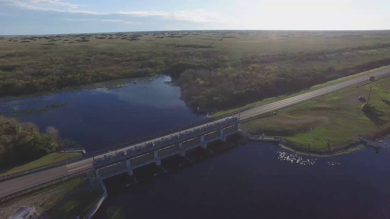 Canal and Levee in Everglades.mp4 - YouTube