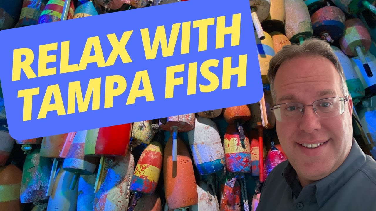 Watch How These Relaxed Fish Transform a Florida Aquarium! - YouTube