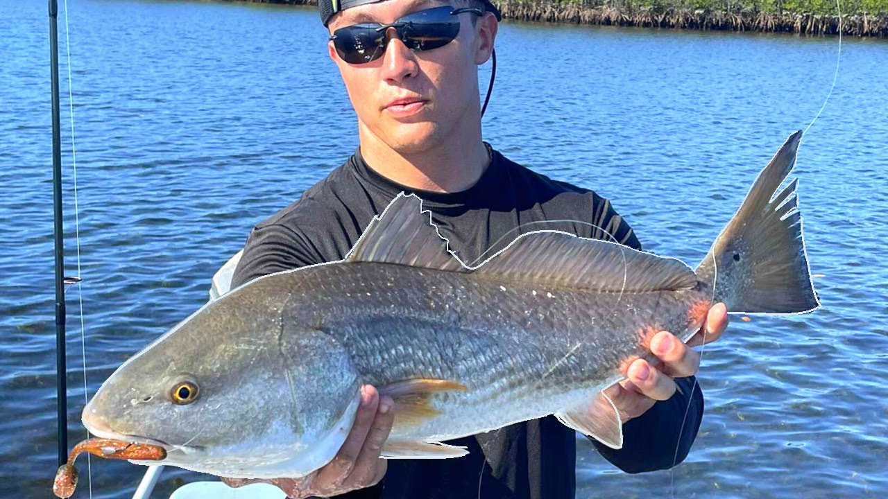 Catching Skinny Water Redfish In Ozello, Florida - YouTube