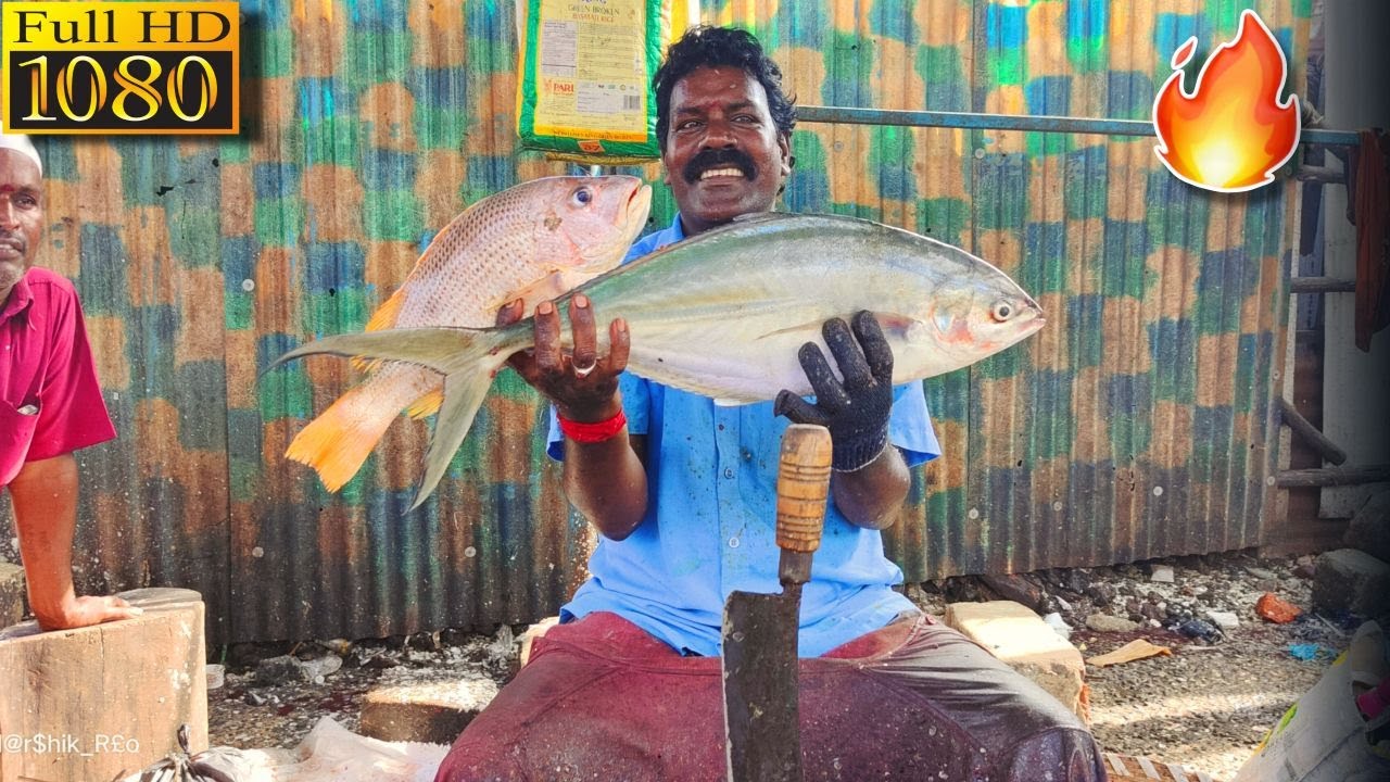 KASIMEDU 🔥FISH CUTTING | DUAL FISH CUTTING🐟 | FISH CUTTING SKILL ...