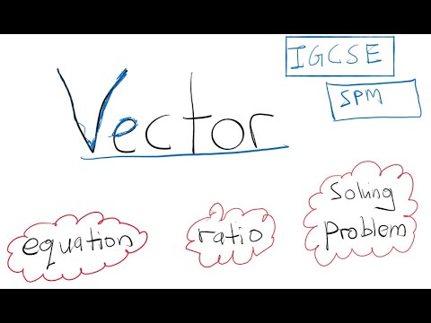 IGCSE Mathematics (Vector) in 15 minutes (FULL) - YouTube