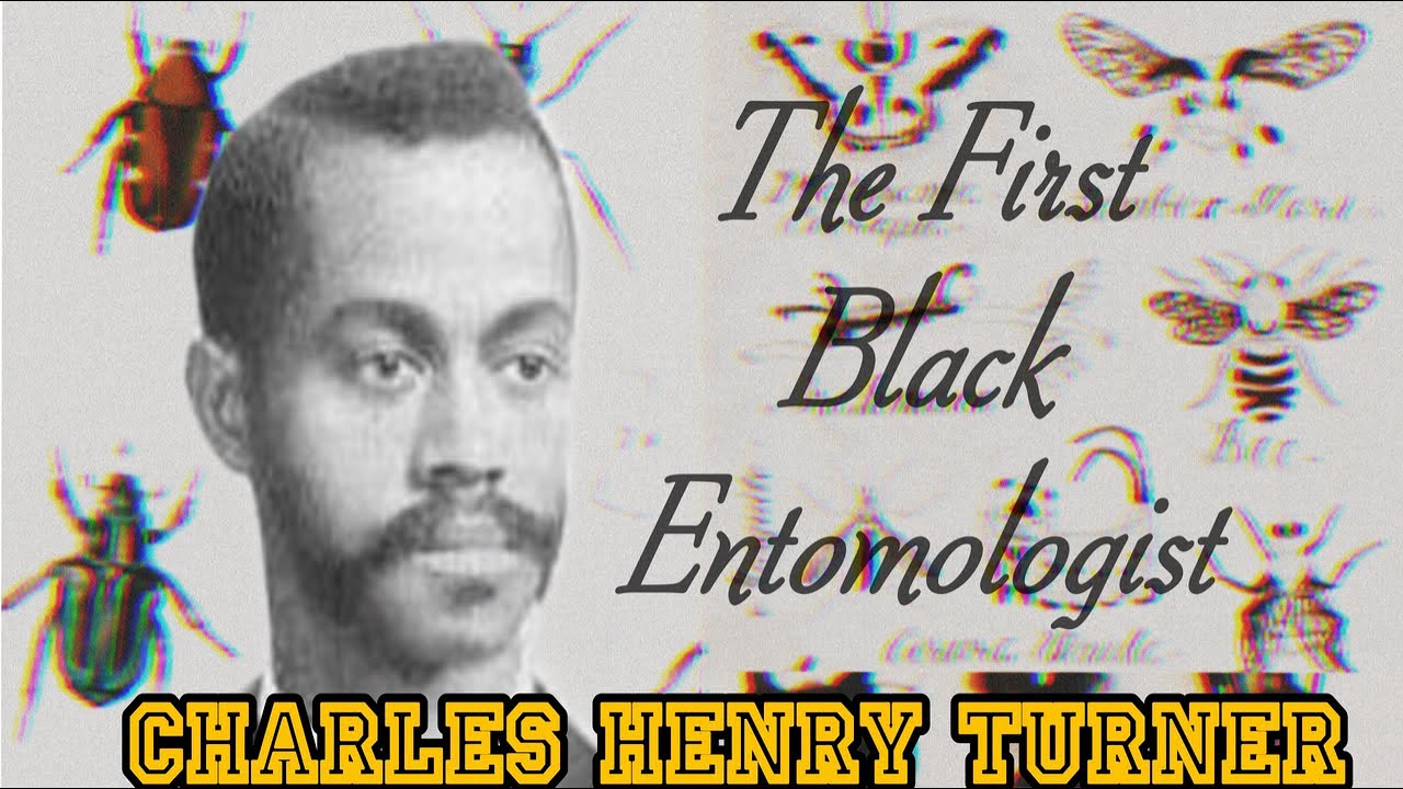 Forgotten Founders: Charles Henry Turner-The 1st Black Entomologists ...