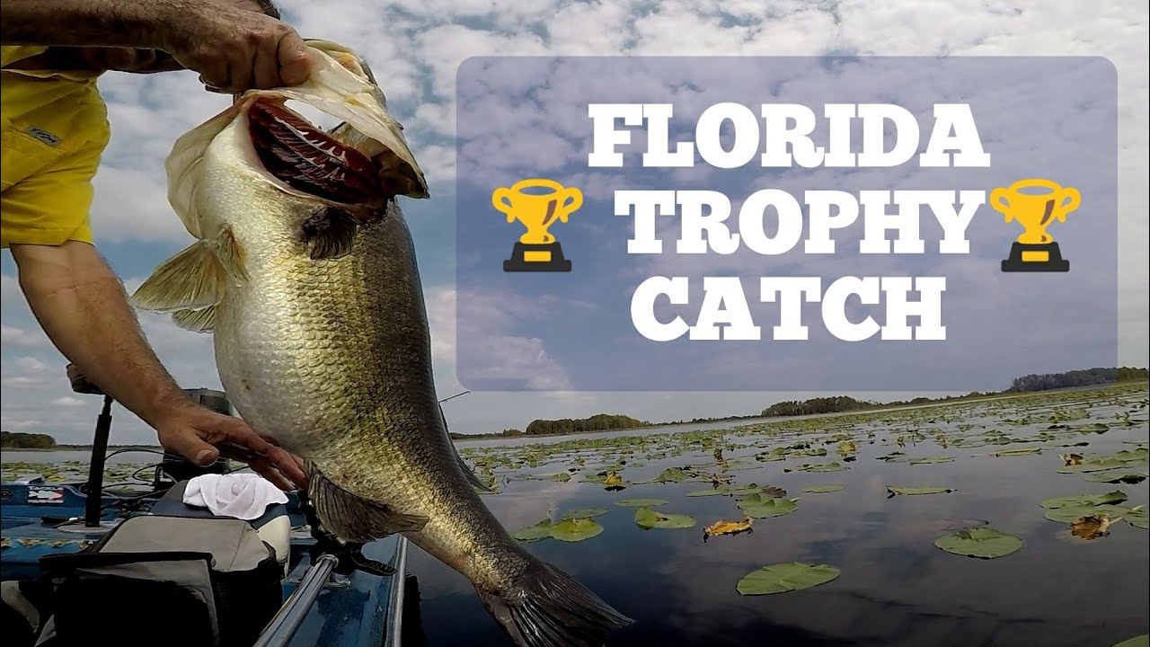 Florida Trophy Catch - YouTube