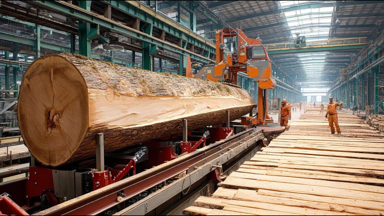 Amazing Timber Machines in Action – From Forest Harvest to Fine ...