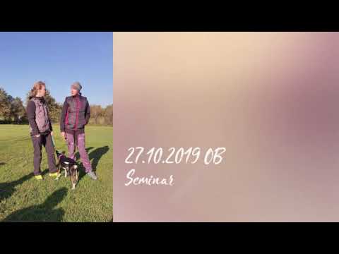 27.10.2019 Obedience Seminar mit Sandra Haslinger - YouTube