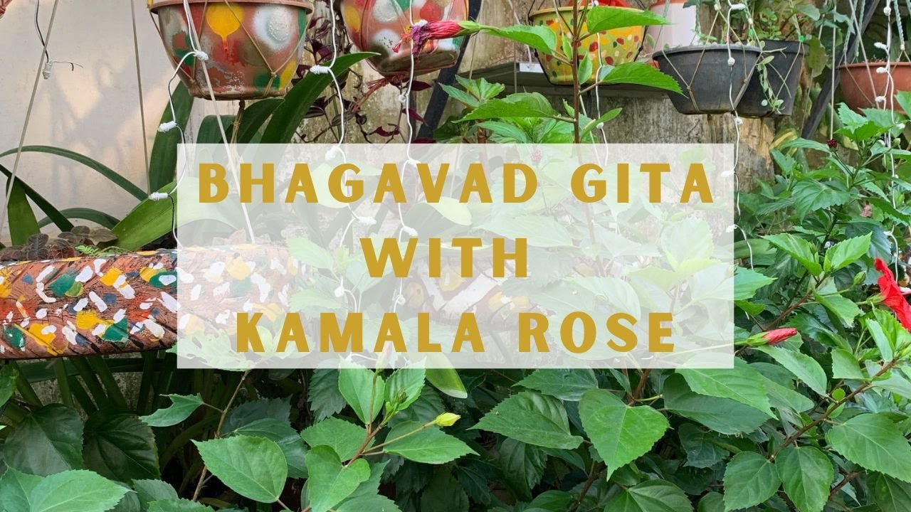 Bhagavad Gita as A Guide Towards An Interconnected Independent Society ...