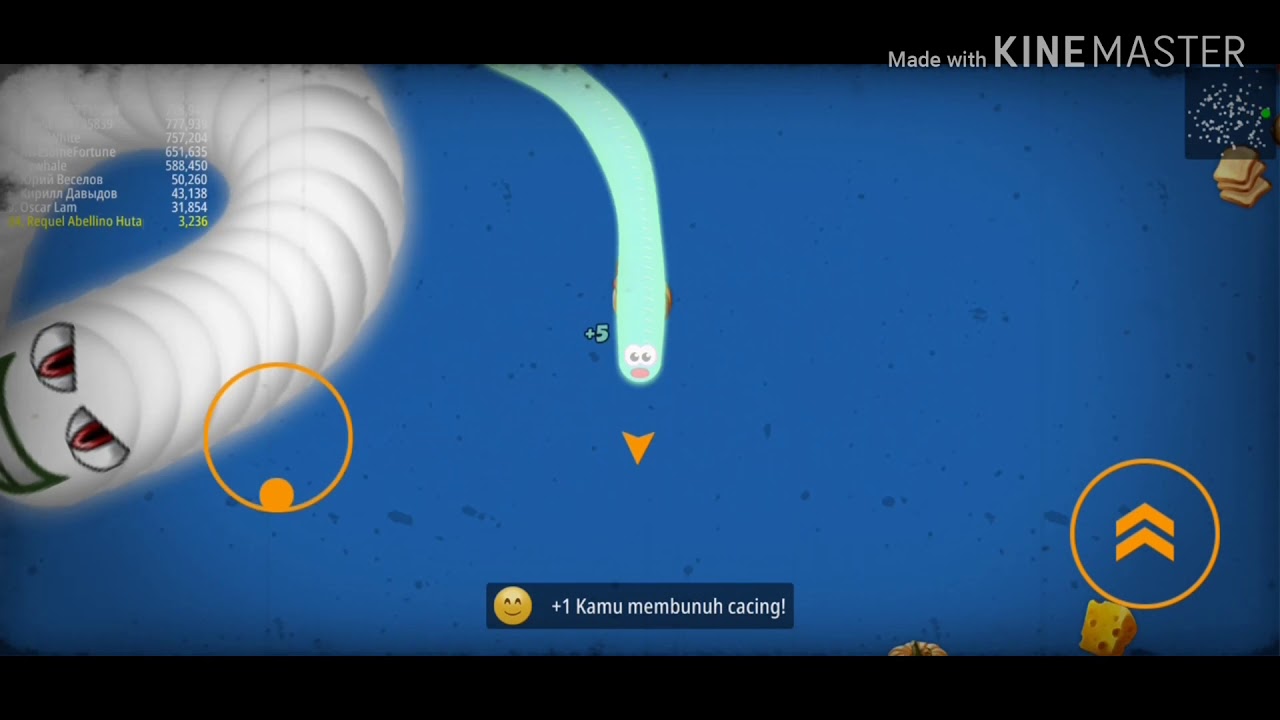Game cacing terbaik - Wormzone Indonesia - YouTube