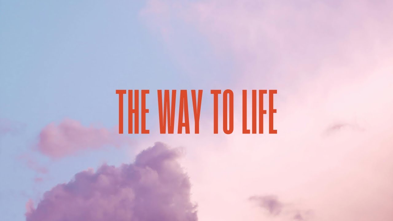 Midnight Moon. - The Way To Life (Visualizer) - YouTube