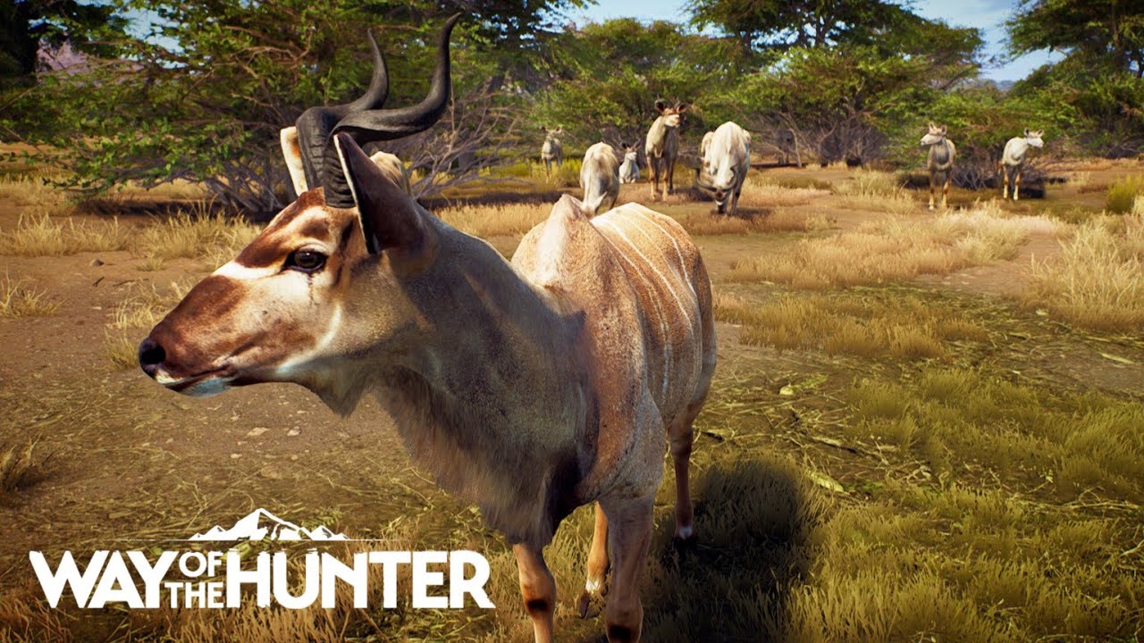 TIKAMOON PLAINS ESTÁ INCRÍVEL! WAY OF THE HUNTER 🐾 ! - YouTube