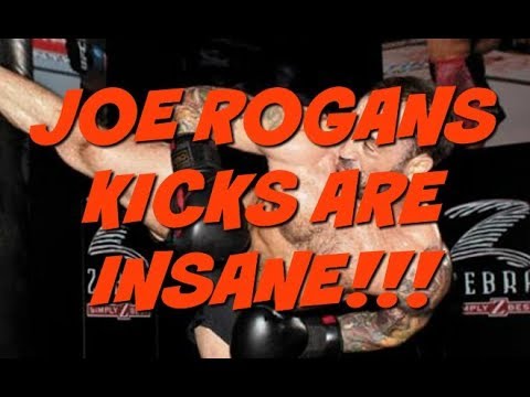 JOE ROGANS KICKS ARE INSANE!!! - Joe Rogan training highlights - YouTube