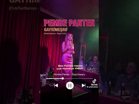 Pembe Panter - Gayrimeşru (Pinkpantheress - illegal turkish version) 