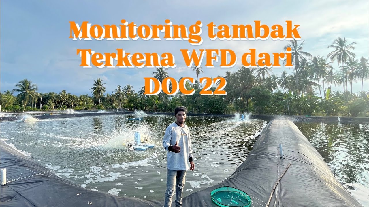 WFD SEJAK DOC 22 hari, MAINTENACE - YouTube