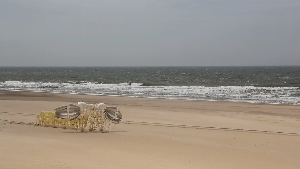 Theo Jansen Strandbeest Evolution 2017 - YouTube