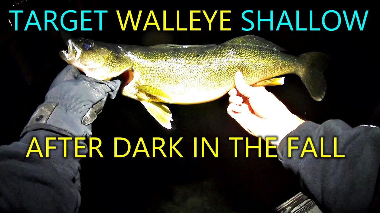 Walleye Are SHALLOW After Dark in the FALL! Targeting Walleye at Night ...