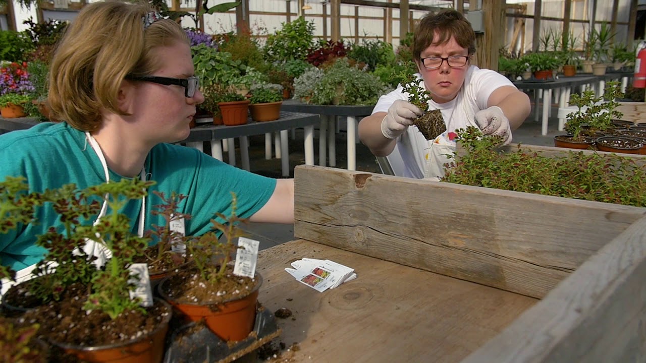 Welcome to the Giving Gardens! | CMSE Giving Gardens - YouTube